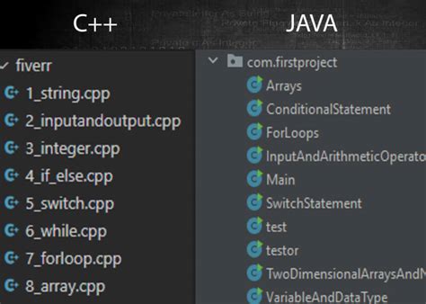 help and teach you the basics of java and cpp by akosiron fiverr