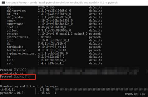 windows安装pytorch全过程 windows 安装simpleitk csdn博客