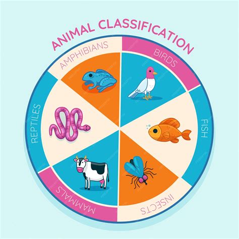 Classifying Animals