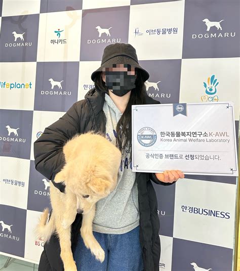 믹스견 첫돌이 미니비숑프리제성격 토이푸들성격 골든리트리버성격 래브라도리트리버성격 닥스훈트성격 도베르만성격 말티치성격 말티폼성격 보더콜리성격 프렌치불독성격 빠삐용성격 파피용