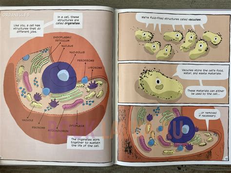 Building Blocks Of Science Cells To Organ Systems купить в интернет магазине Booklavka Буклавка