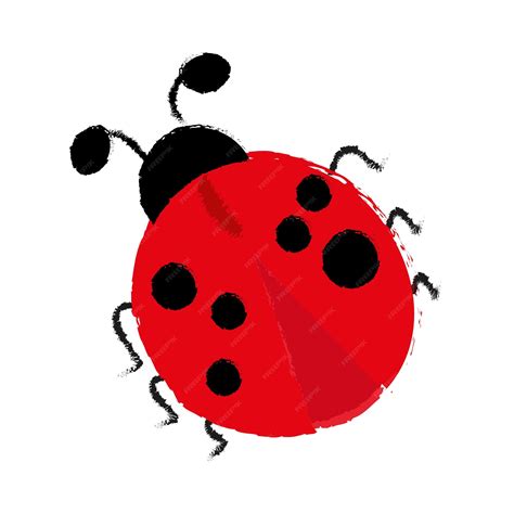Simple Cartoon Ladybug
