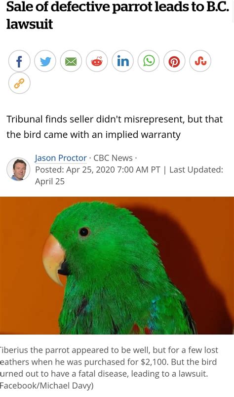 Monty Python Parrot Memes Dead Parrot Live Long Live Monty Python And