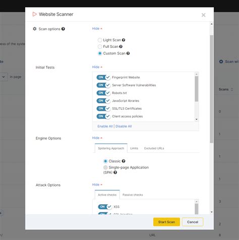 An Online Vulnerability Scanner With Range And Quality