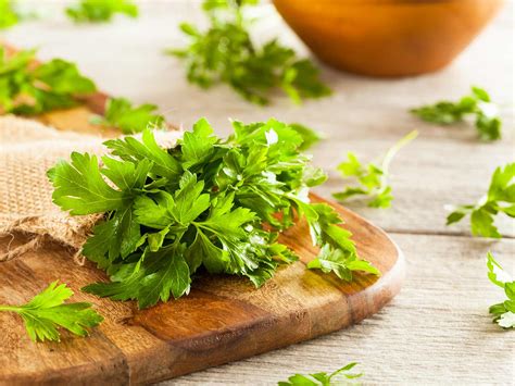 How To Grow And Care For Parsley Love The Garden