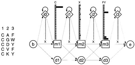 A Small Profile Hmm Right Representing A Short Multiple Alignment Of