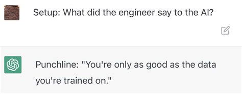 Chatgpt Attempts Humor But It Gets Progressively More Frightening Rprogrammerhumor