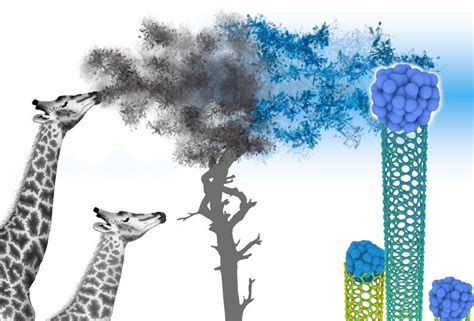 Growing Pure Nanotubes Is A Stretch But Possible Rice News News And Media Relations Rice