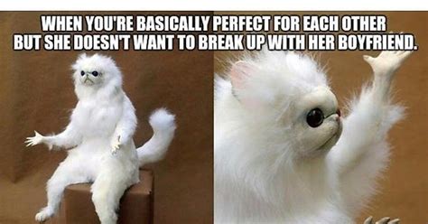 Nice Guys Cringe Dump Album On Imgur