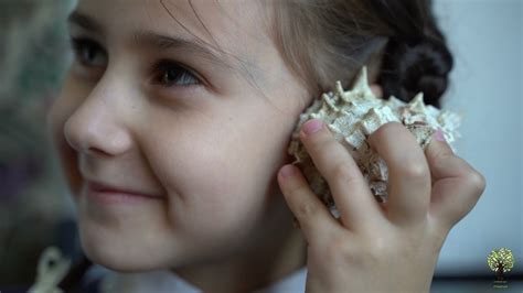 Буктрейлер до книги Анастасії Левкової За Перекопом є земля Youtube