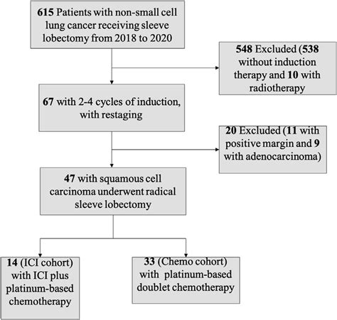 Patient Selection Flowchart Chemo Chemotherapy Ici Immune