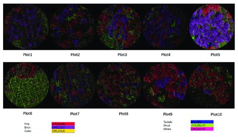 The Tree Species Classification Results Of The 10 Plots Download Scientific Diagram