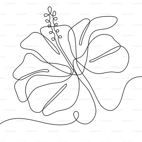 흰색 배경에 꽃의 선 그리기 벡터 Unsplash의 그림 이미지