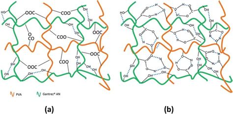 Proposed Structure Of Chemically Cross Linked Autoclaved Hydrogels A Download Scientific