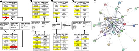 Biological Sex Divergence In Transcriptomic Profiles During The Onset