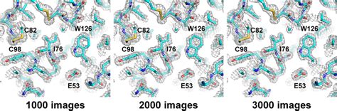 2mfo Dfc Electron Density Map Gray Mesh 13 σ For Lysozyme Datasets