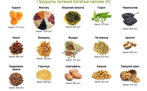 Калий в организме человека: его роль, норма калия в крови, продукты ...