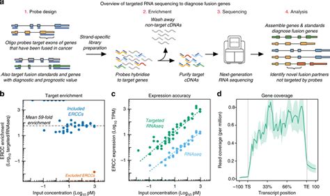 overview of targeted rnaseq and panel validation a schematic of
