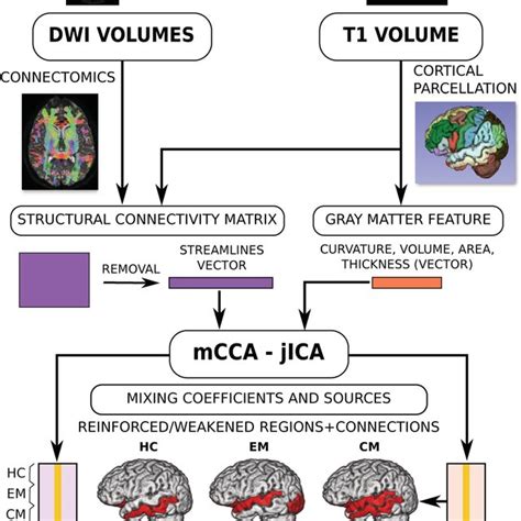 overview of the method multimodal canonical correlation analysis‐joint