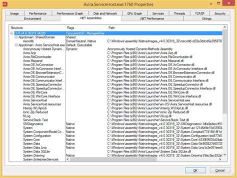 Net Assemblies Tab Process Explorer Net Assemblies Tab Process Explorer