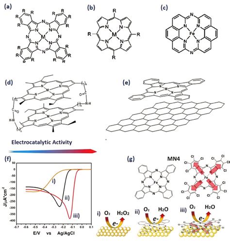 Examples Of Commonly Used Macrocyclic Compounds A Download