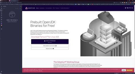 리눅스 Adoptium Temurin Jdk 수동 설치 — Razorbacky 인간은 항상 앞으로 나아가야 한다