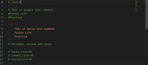 sai charan on linkedin task 4 practice comments variables data types type conversion…