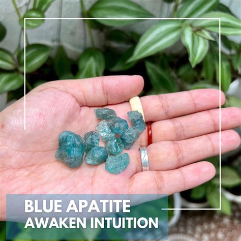 1 Piece Natural Rough Apatite Chunk To Achieve Goals Dream Stone Problem Solving Shopee