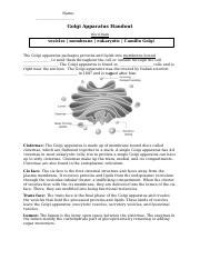 Understanding The Golgi Apparatus Functions And Structure Course Hero