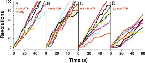 Time Courses Of Rotation Of Beads Attached To The D Subunit A Bead Download Scientific