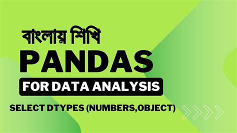 Select Datatypes In Pandas With Lectdtypes Python Data Analysis