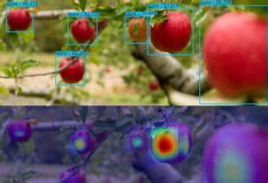 AI Object Detection Demo Application Avinton Japan