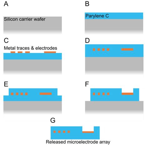 Photographs Of Polymer Microelectrode Arrays Manufactured By The Pie Download Scientific