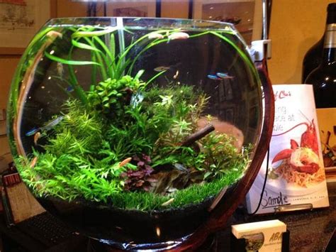 Self Sustaining Ecosystem Home Self Sustaining Ecosystem