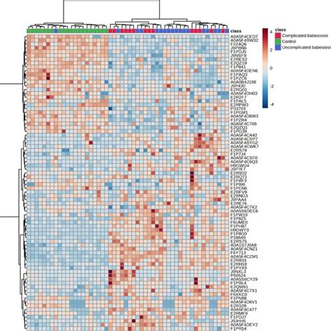 Hierarchical Cluster Analysis Hca Based On The Proteins With