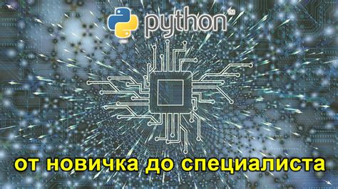 Python от новичка до профессионала видеоуроки
