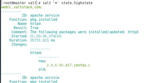 自动化运维之saltstack it运维管理