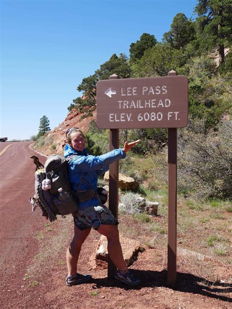 What Redline Guides Do When Not Guiding