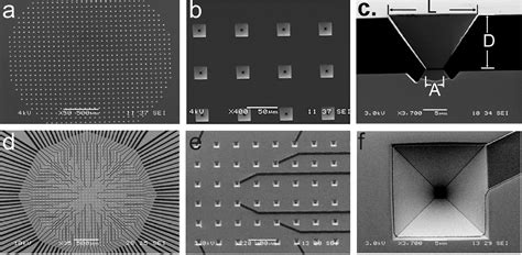 Figure 1 From Displacement Talbot Lithography Nanopatterned Microsieve Array For Directional