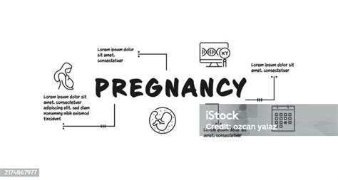 임신 개념 선 스타일 벡터 일러스트 레이 션 임신 아이콘 기호 산부인과 의사 체외 수정 모성 Dna에 대한 스톡 벡터 아트 및