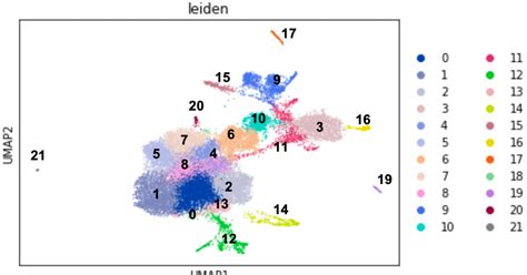 Umap Plot For Clustering Of Embryonic Cells Obtained By Single Cell Rna Seq Analyses Okinawa