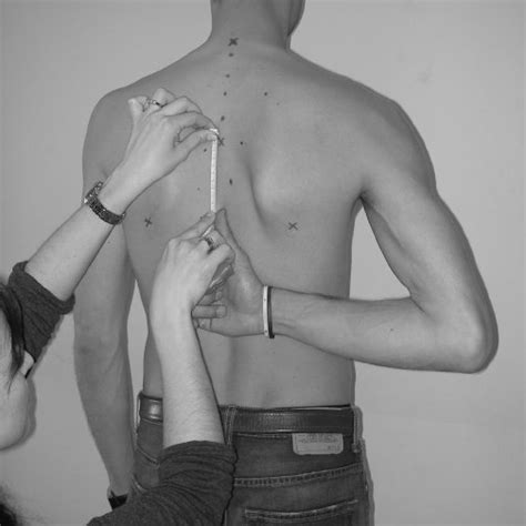 Pdf Lateral Scapular Slide Test And Scapular Mobility In Volleyball Players