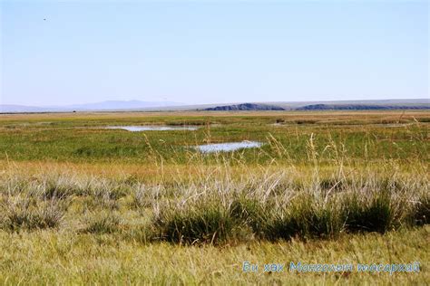 Ишгэнт нуур Сэлэнгэ аймаг Хушаат сум Narkhuu Enkhbold Flickr