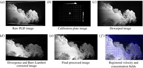 Colour Online Plifpiv Processing A A Sample Plif Image As