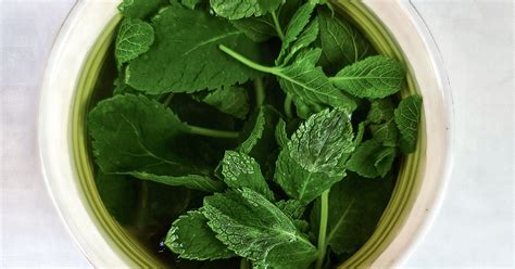 Was Tee Wirklich Kann