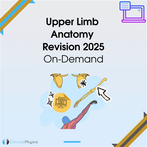 Upper Limb Anatomy Revision On Demand Webinar Clinical Physio