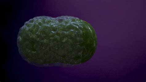 Solved Attach Particles To Surface Autodesk Community