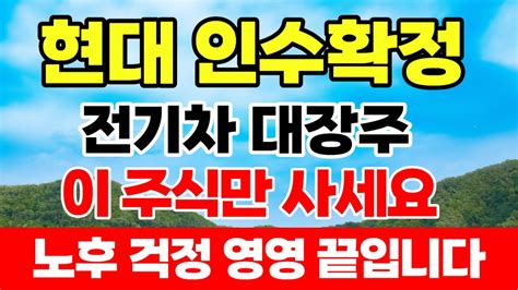 주식 현대가 인수 확정난 전기차 대장주 지금 이 주식 만 사모으세요 그러면 노후걱정은 영영 끝입니다 주식 12월주식전망