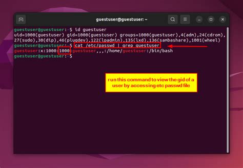 How To Find Uid Of A User In Linux 3 Best Methods