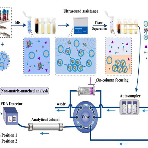 Schematic Diagram Of The Uamc Process A And The Lvi Hplc Method Based Download Scientific